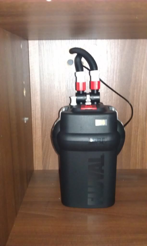 Does water filter actually clean the water? | Reptile Forums Does water filter actually clean the water? | Reptile Forums
