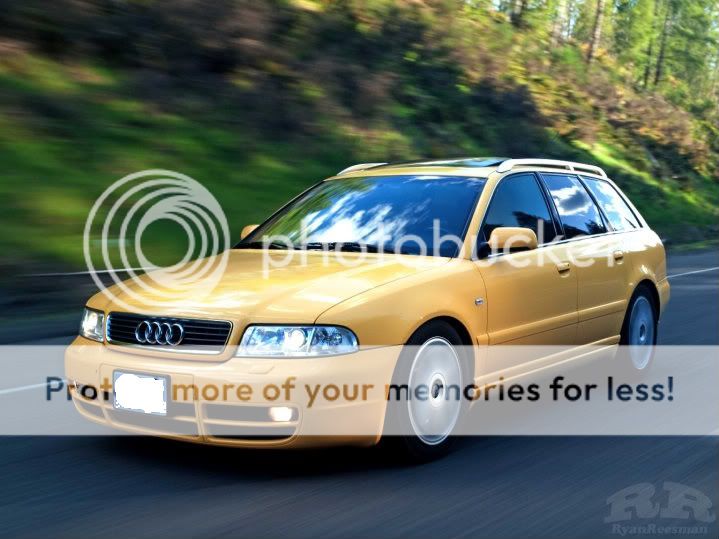 Owner Identify: Yellow S4 Avant | VW Vortex - Volkswagen Forum