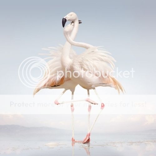 Rustie-Lost [VIP] - EDMTunes